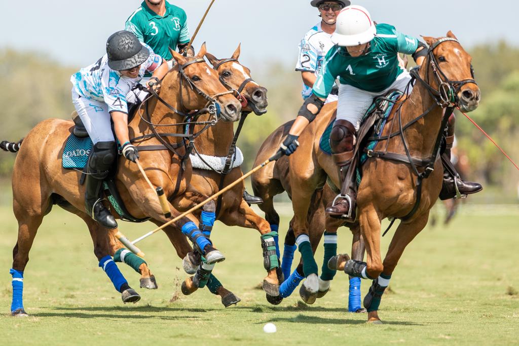 Dazos 10 vs. 14 G-String Polo Ponies – Wellington Polo Tour