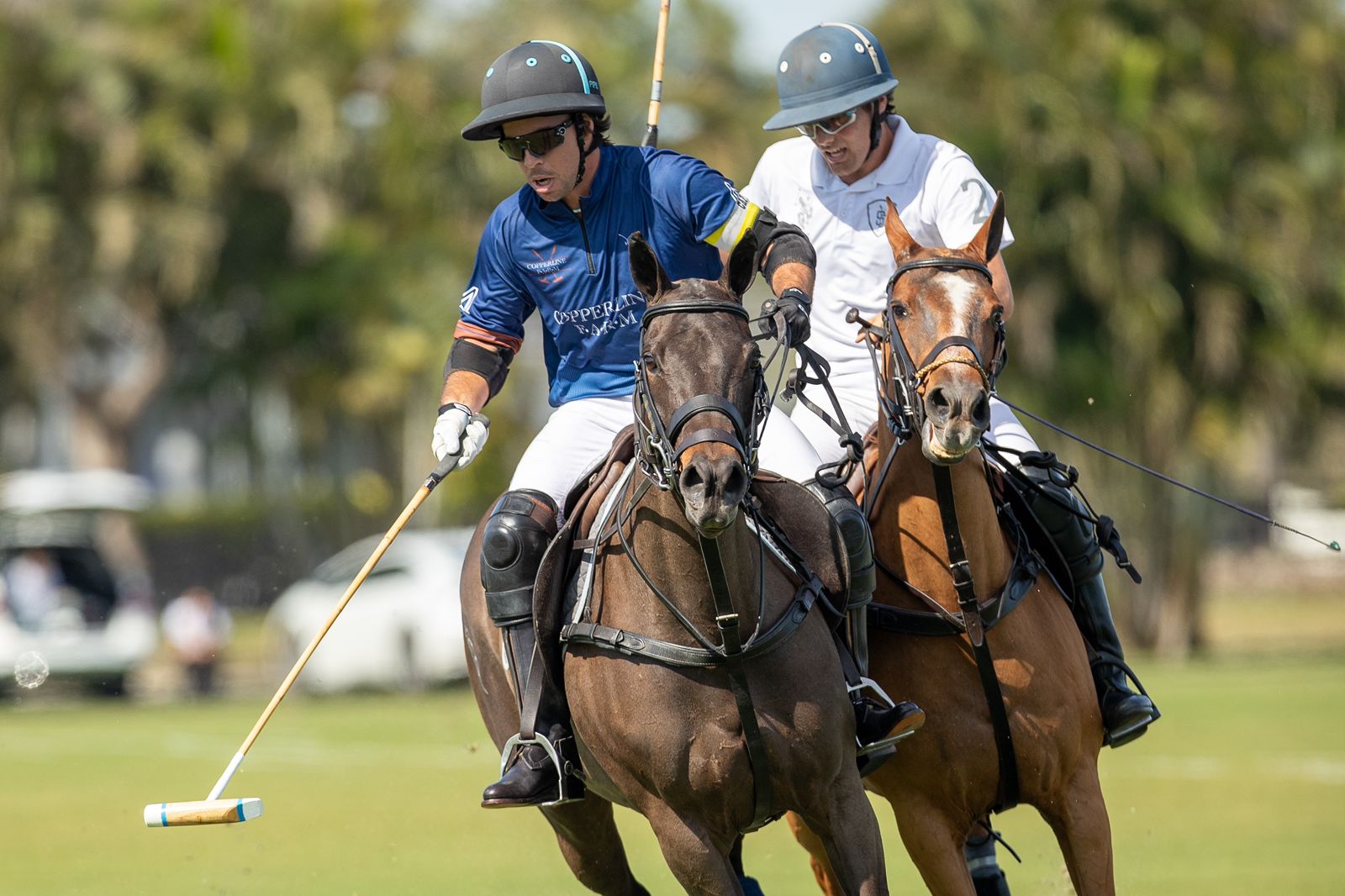 Wellington Polo Tour – 2025 Polo Season